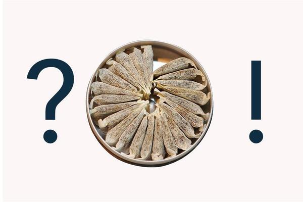 Snus und Zahnfleisch